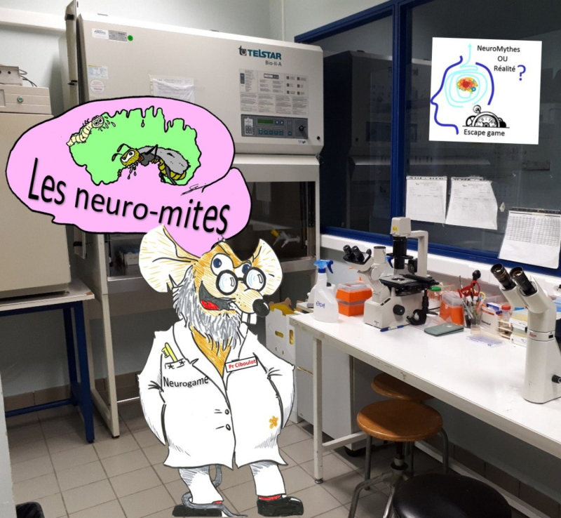 Neurogame : Escape game cerveau | INC