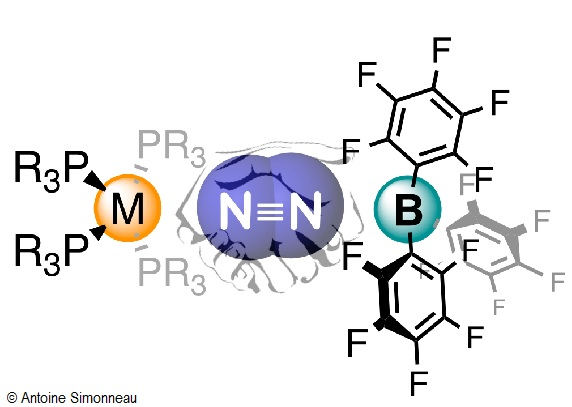 Transformer le diazote en molécules azotées : vers des méthodes plus ...